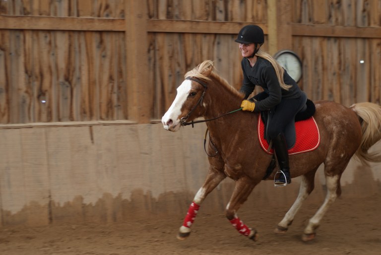 Horseback Riding Lessons
