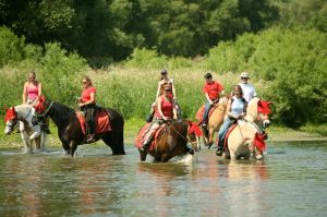 Helping people be in a fun and safe environment with horses!