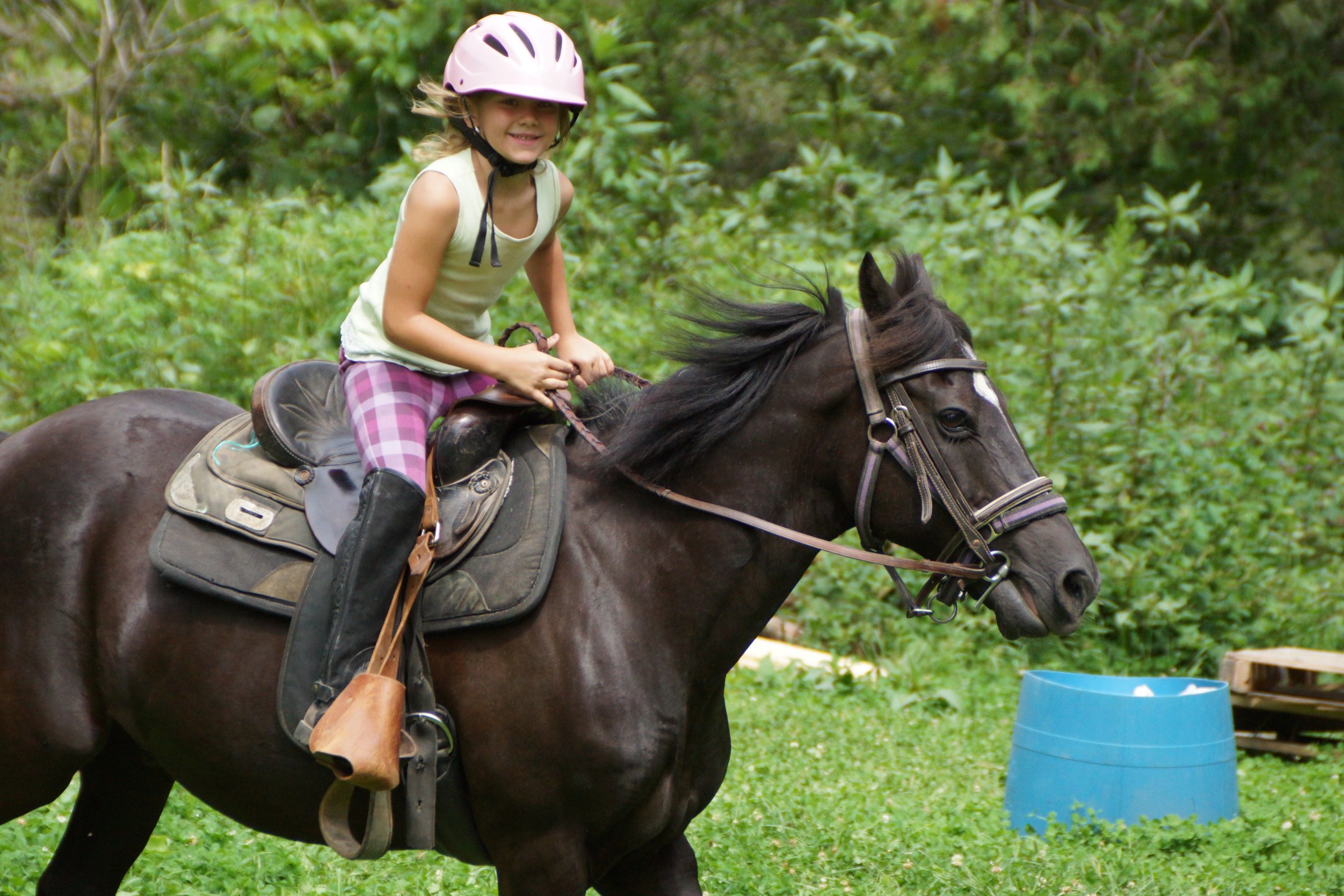 Horseback Riding Lessons
