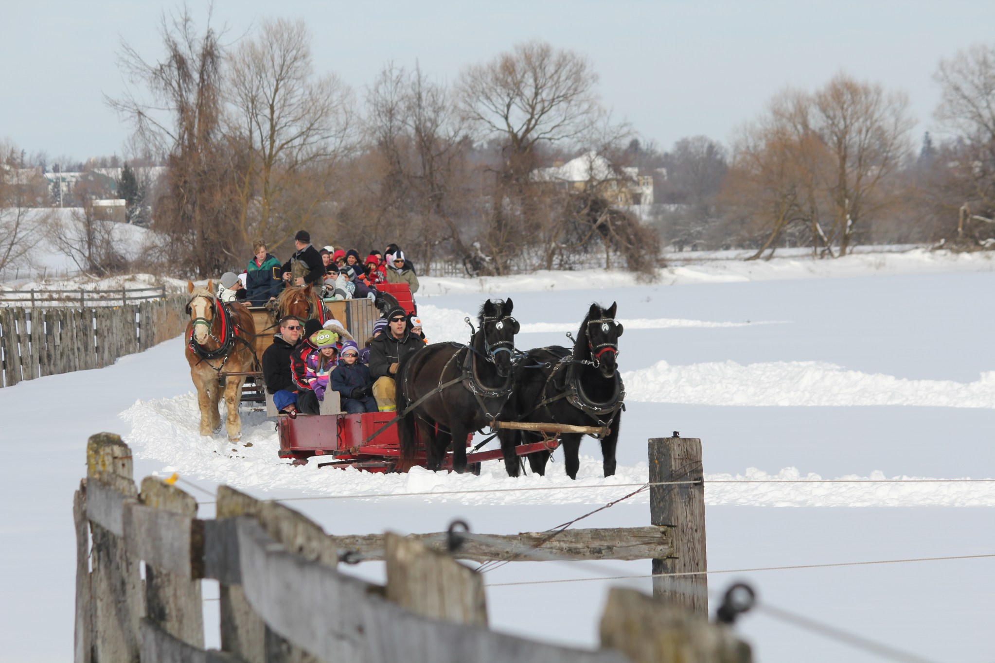 Sleigh & Wagons Rides