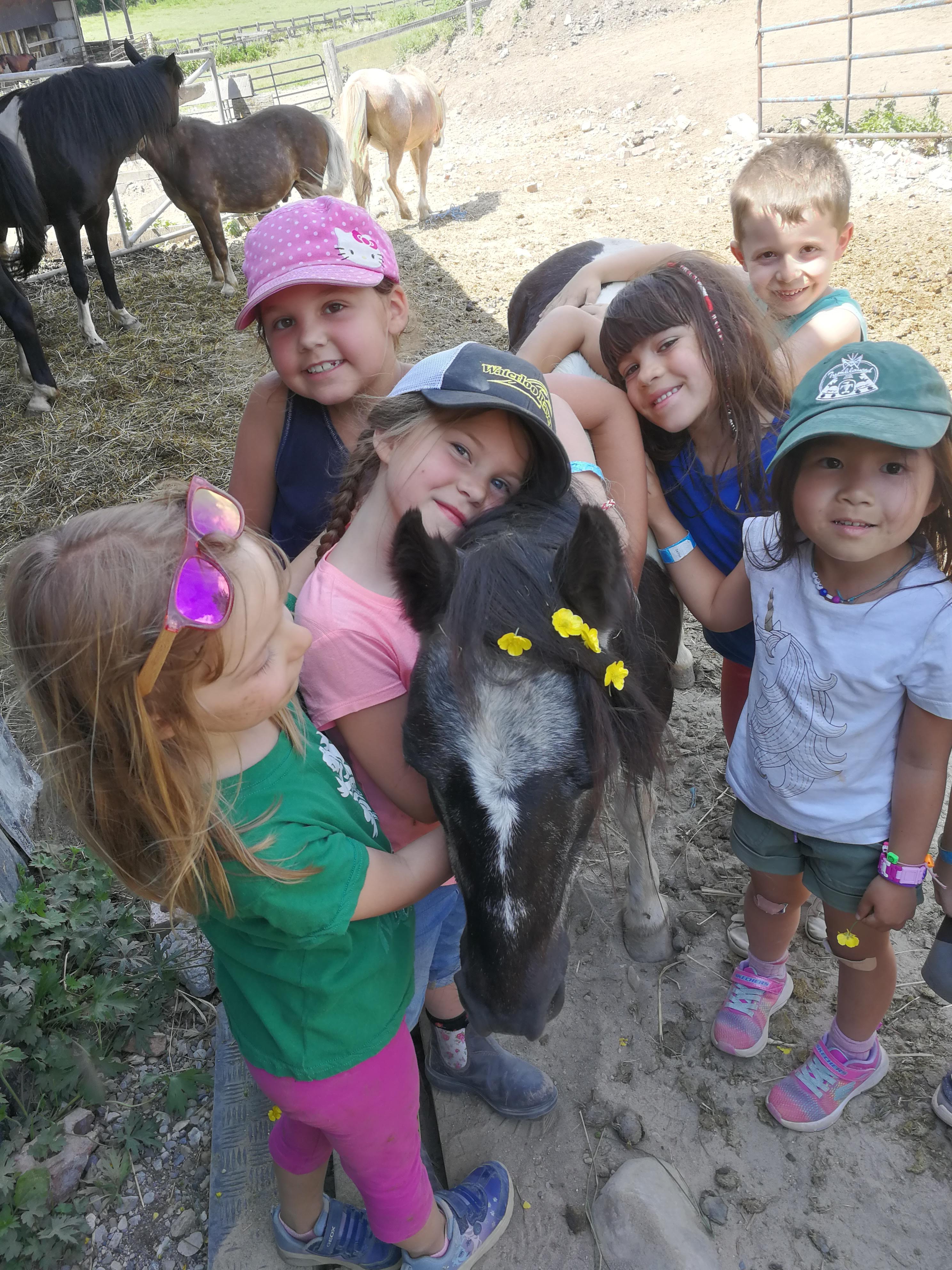 Farm Camp